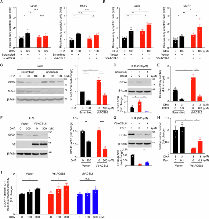 ACSL6 modulates docosahexaenoic acid-induced cytotoxicity to potentiate ...
