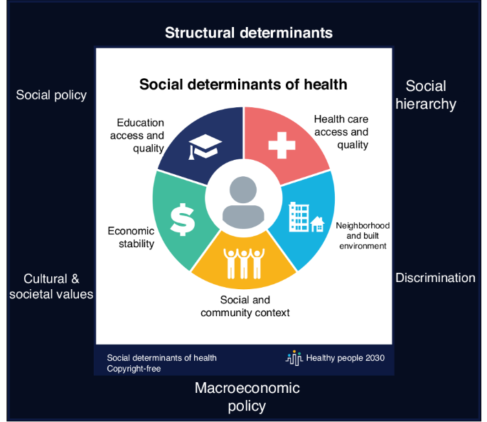 Prenatal Social Determinants of Health: Narrative review of maternal ...
