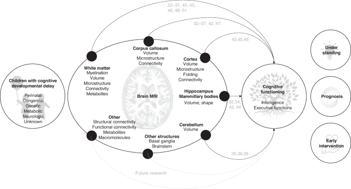 Enhancing daily life for children with cognitive developmental delay ...