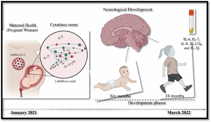 Cord blood cytokines/chemokines linked to delays in toddlers exposed to SARS-CoV-2 prenatally ...