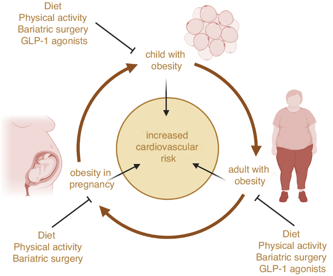 Weighing up the options: childhood intervention to tackle obesity ...