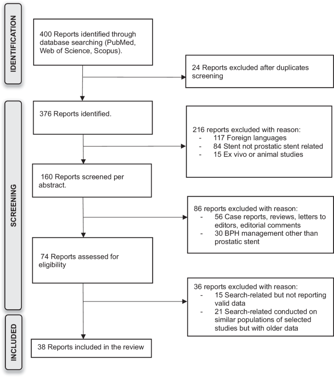 Prostatic stents: a systematic review and analysis of functional ...