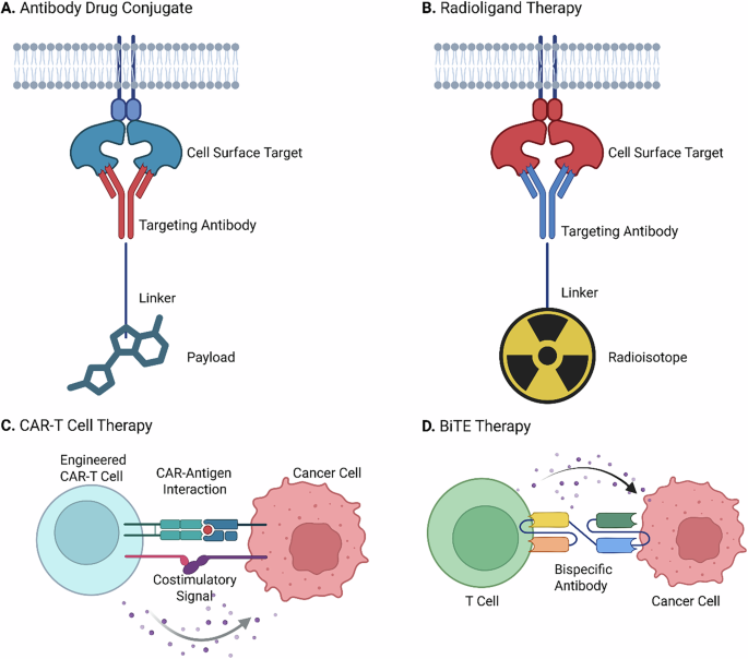 Beyond PSMA: theranostic cell surface targets in metastatic prostate ...