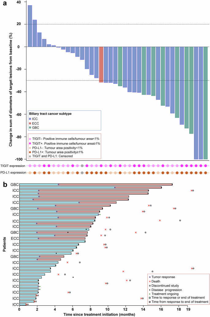 First-line tislelizumab and ociperlimab combined with gemcitabine and ...