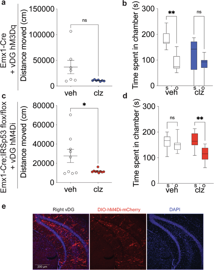 Restoring social deficits in IRSp53-deleted mice: chemogenetic ...