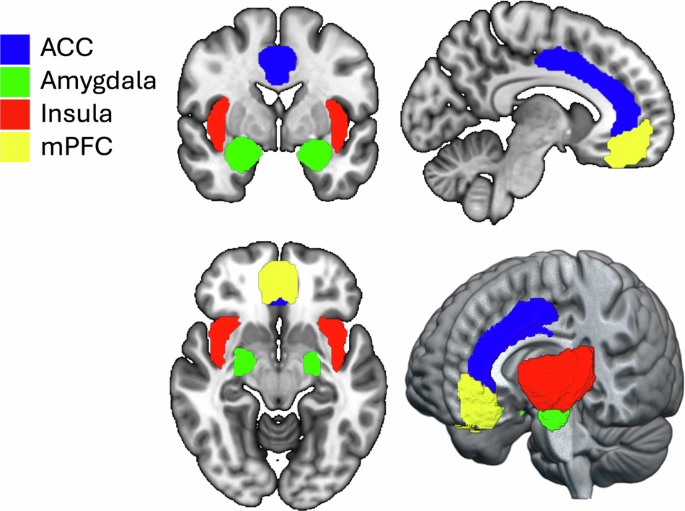 Re-evaluating our focus in addiction: emotional dysregulation is a ...