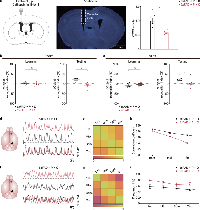 Pitolisant alleviates brain network dysfunction and cognitive deficits ...