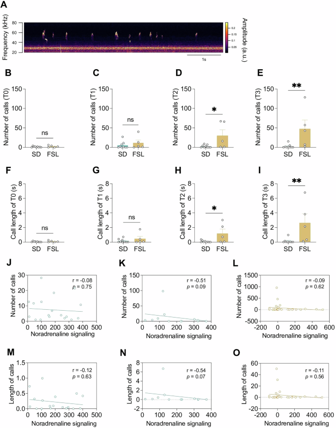 Deep brain stimulation of medial forebrain bundle modulates ...