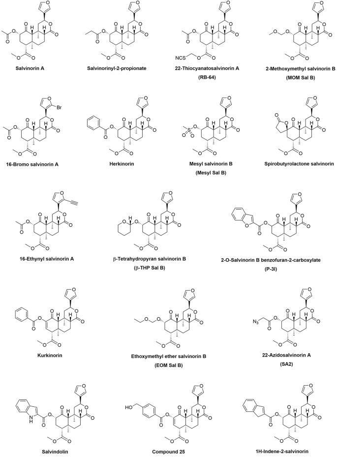 The translational potential of salvinorin A: systematic review and meta ...