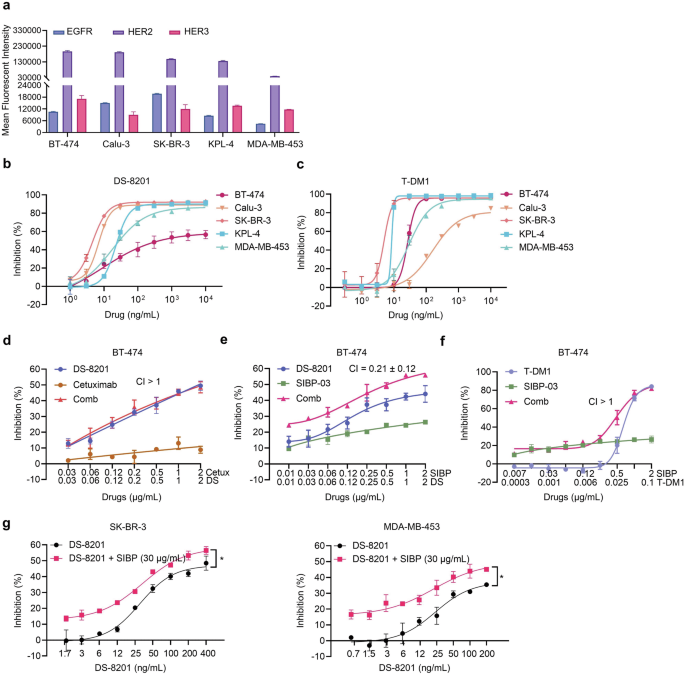 HER3 upregulation reduces DS-8201 sensitivity in HER2-positive tumor ...