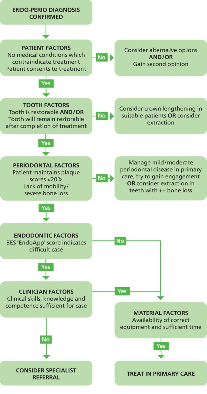 The development, diagnosis, prognosis and management strategies for ...