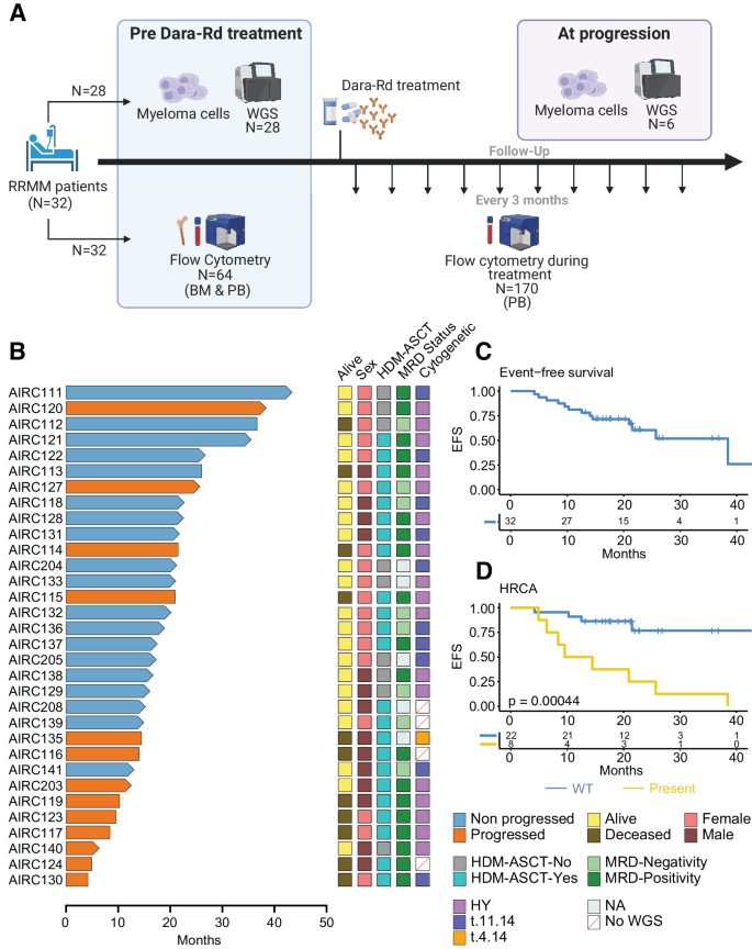Genomic and immune determinants of resistance to daratumumab-based ...
