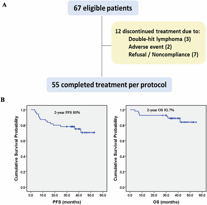 Lenalidomide combined with R-CHOP (R2-CHOP) in the treatment of newly ...