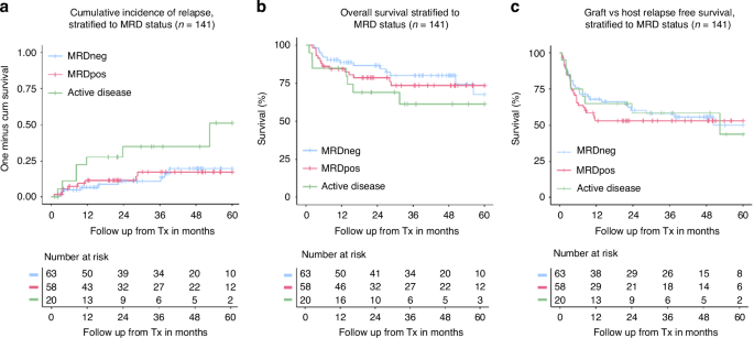 Beneficial effect of PTCy and a short duration of immune suppression on ...