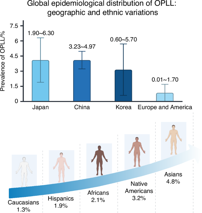 The relationship between OPLL and metabolic disorders | Bone Research