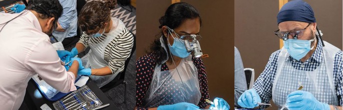 Hands-on cadaver training for in-depth knowledge | British Dental Journal