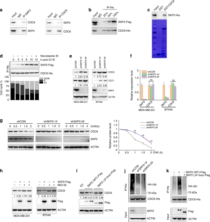 SKP2 inhibition activates tumor cell-intrinsic immunity by inducing DNA ...