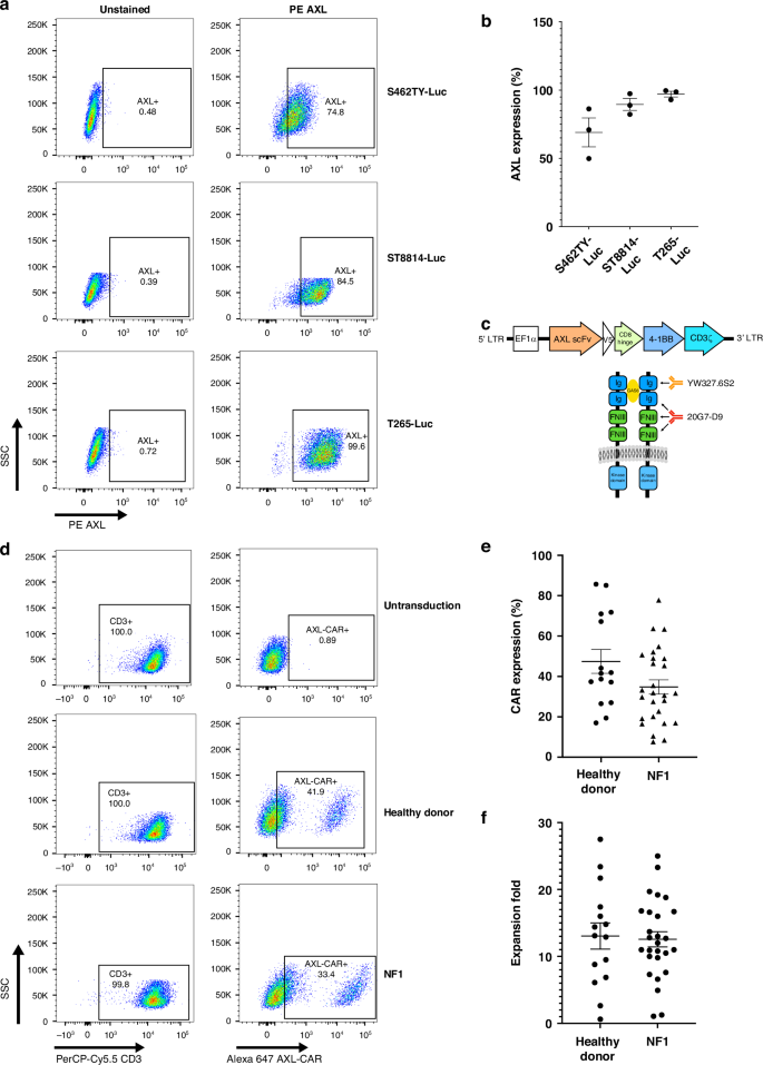 Evaluating CAR-T cells from neurofibromatosis type 1 (NF1) patients for ...