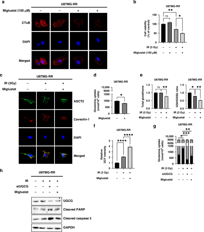UDP-glucose ceramide glucosyltransferase promotes radioresistance via ...