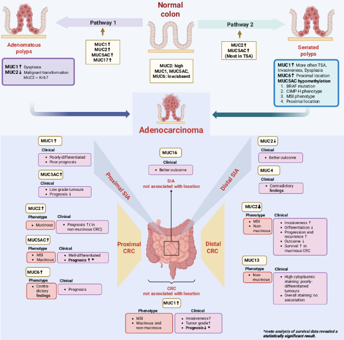 Clinicopathological and prognostic significance of mucin signatures in ...