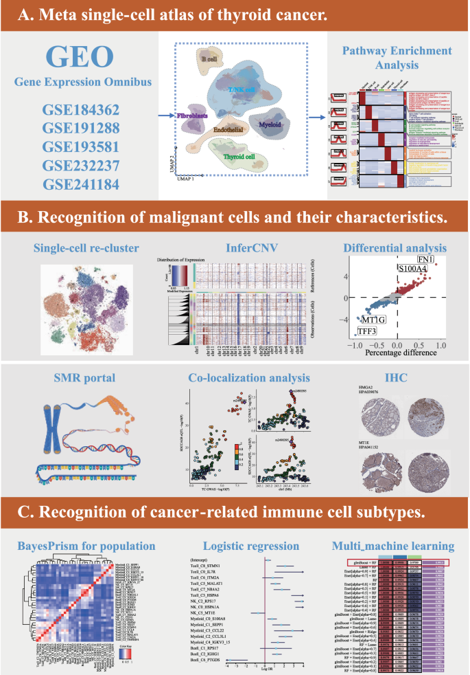Meta single-cell atlas and xQTL post-GWAS analysis revealed the ...