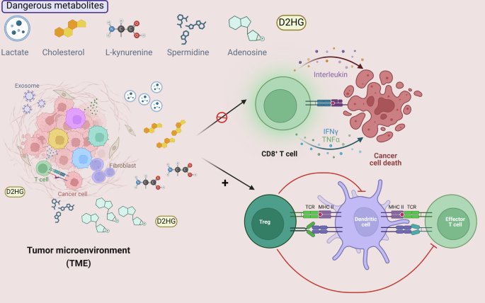 Metabolic gatekeepers: harnessing tumor-derived metabolites to optimize ...