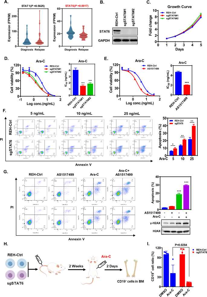 Targeted deprivation of STAT6 sensitizes acute lymphoblastic leukemia ...