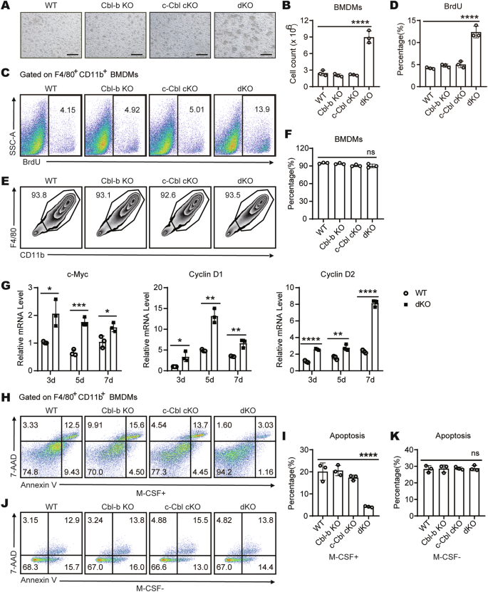 E3 Ubiquitin ligases Cbl-b and c-Cbl maintain the homeostasis of ...