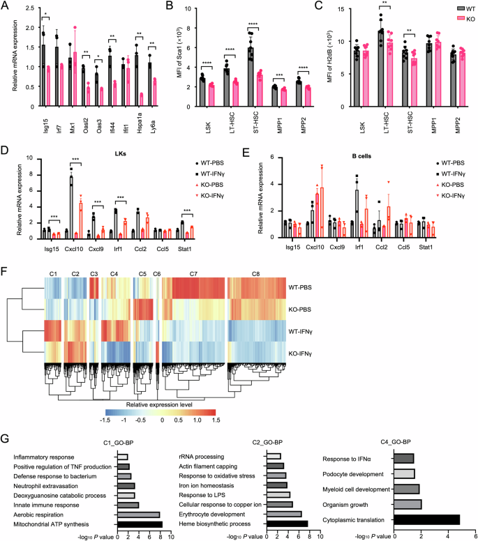 Setd2 ensures the establishment of a precise basal inflammatory state ...