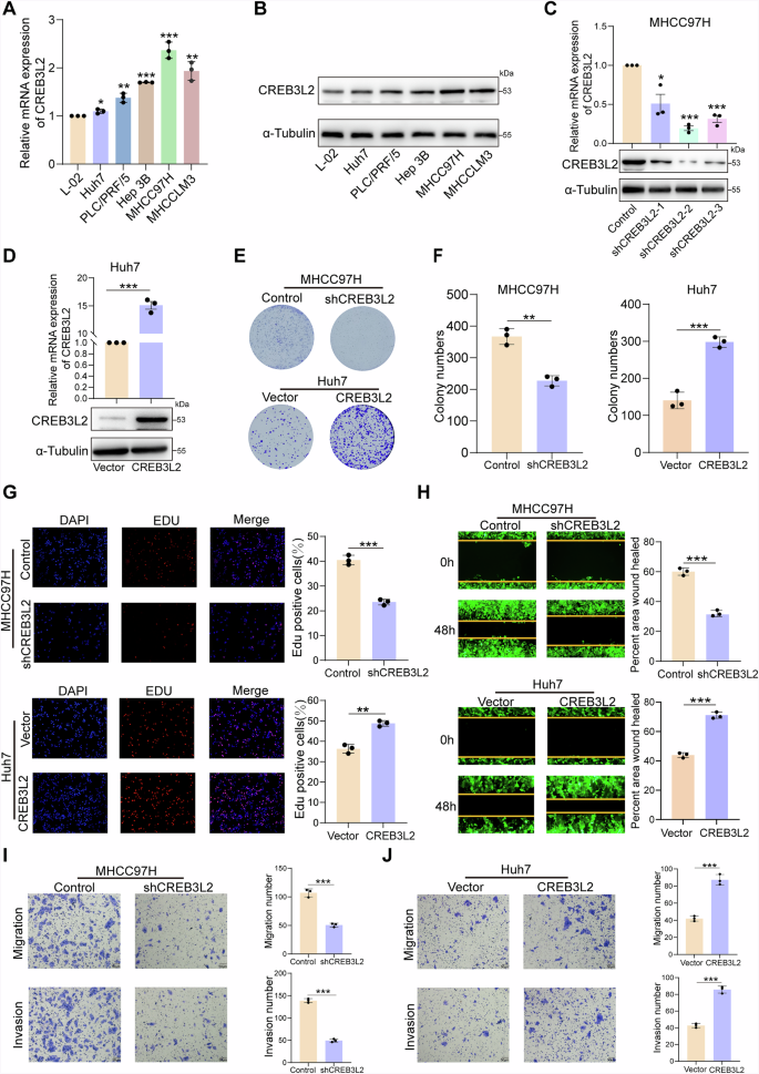 Targeting CREB3L2-mediated lipid metabolism overcomes lenvatinib ...