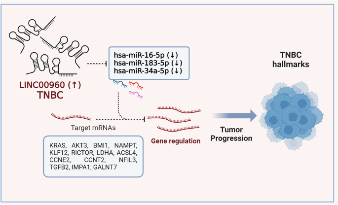 Long noncoding RNA profiling unveils LINC00960 as unfavorable ...
