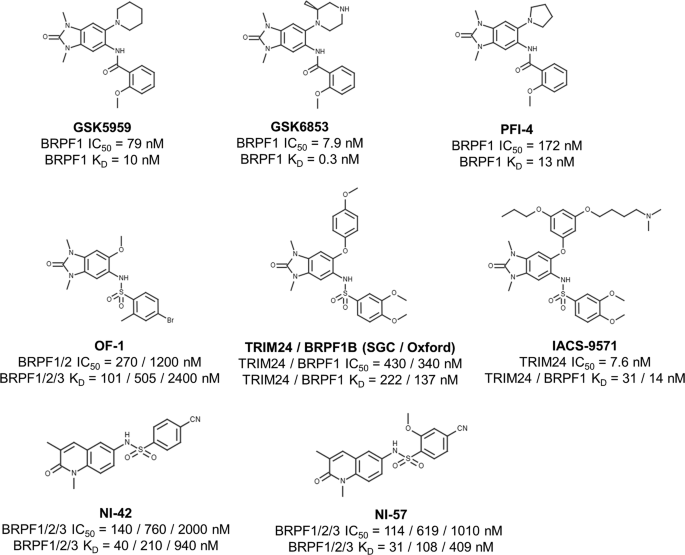 BRPF1 in cancer epigenetics: a key regulator of histone acetylation and ...