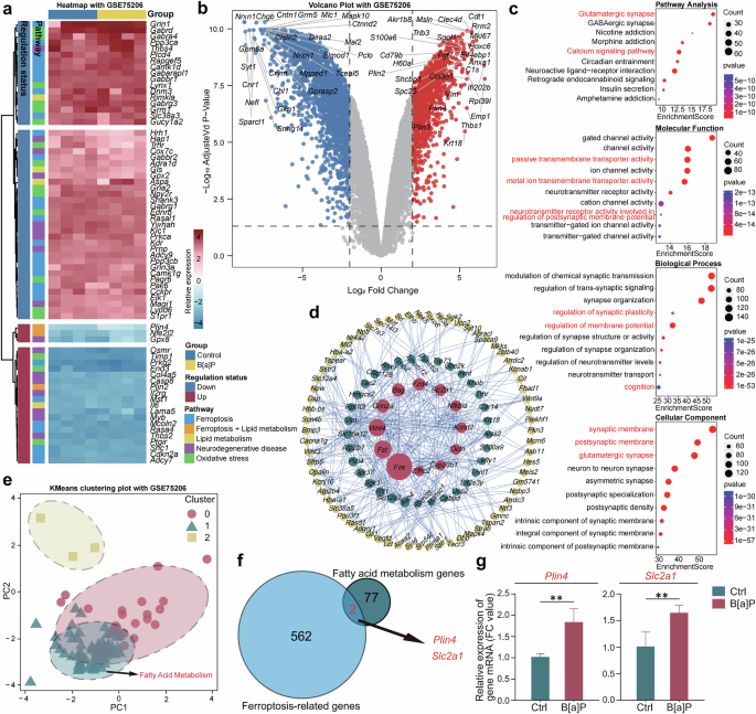 Plin4 modulates lipid droplet accumulation and ferroptosis in neurons ...