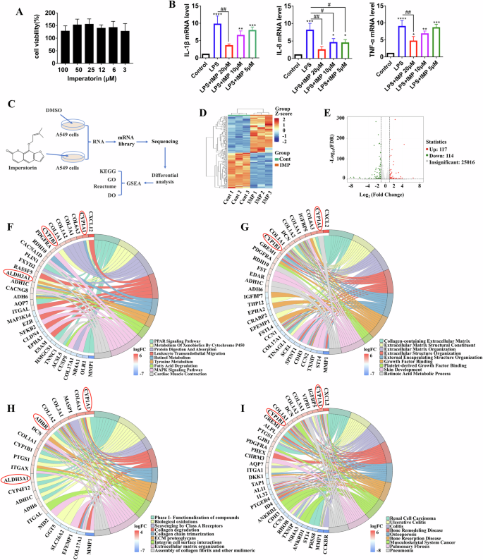 ALDH3A1-dependent Nrf2/HO-1/GPX4 pathway supports AHR as a promising ...