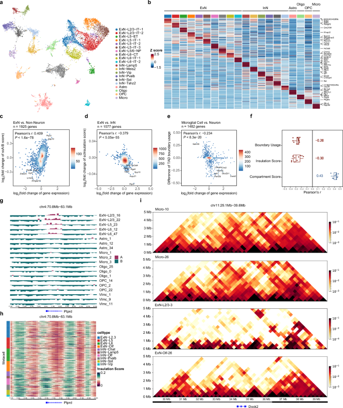 Droplet-based high-throughput 3D genome structure mapping of single ...