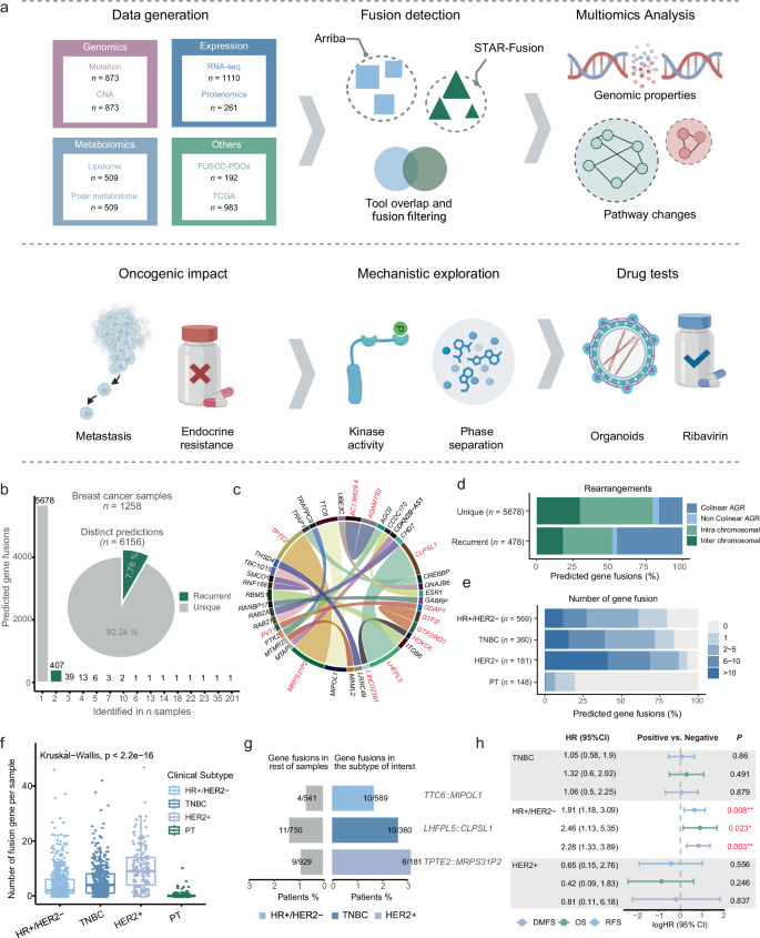 Landscape of gene fusions in hormone receptor-positive breast cancer ...