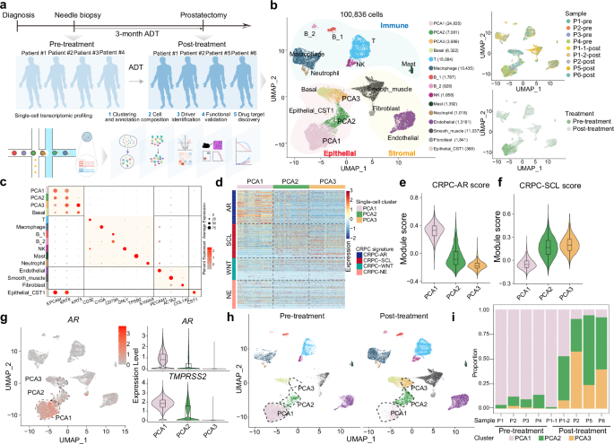 LKB1 inactivation promotes epigenetic remodeling-induced lineage ...