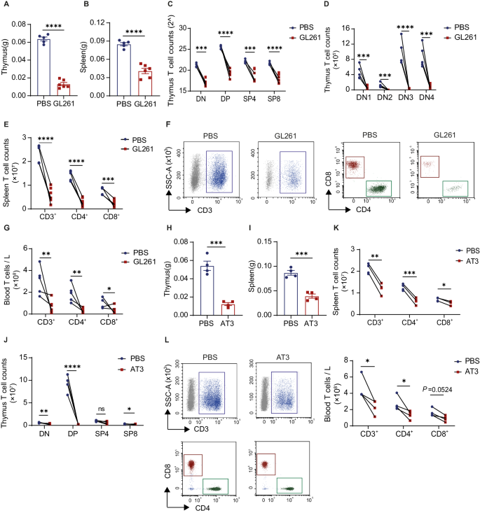 Targeting the glucocorticoid receptor-CCR8 axis mediated bone marrow T cell sequestration ...