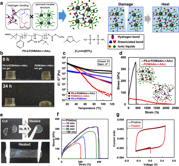 Development of functional polymer gel electrolytes and their ...