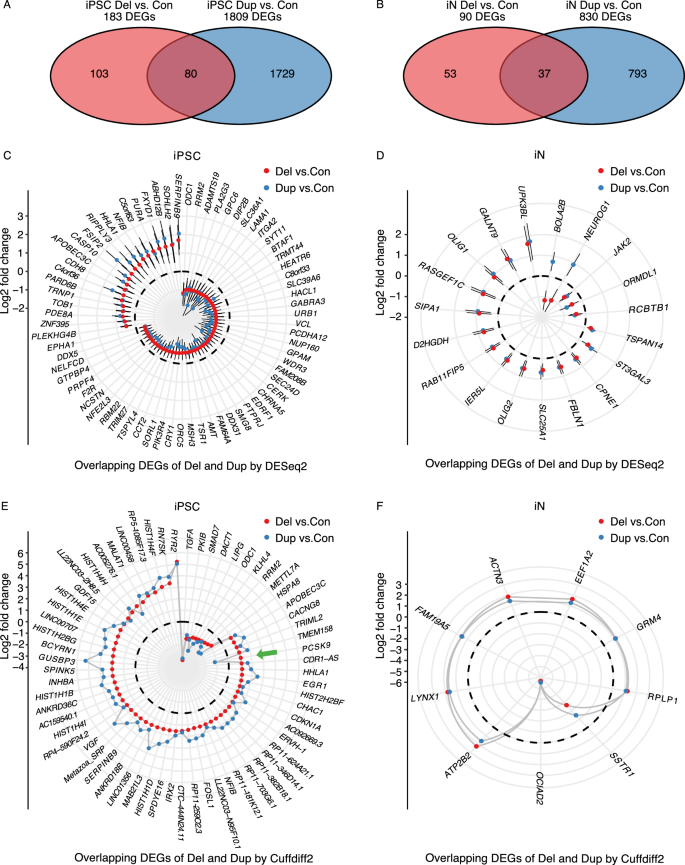 Cell-type specific global reprogramming of the transcriptome and ...