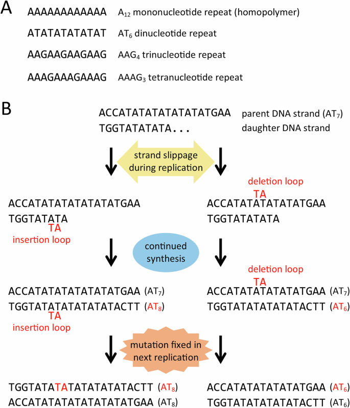 EMQN best practice guidelines for analysis and reporting of ...