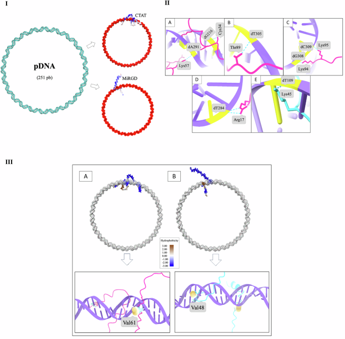 A novel multi-functional chimeric peptide for enhanced safe gene ...