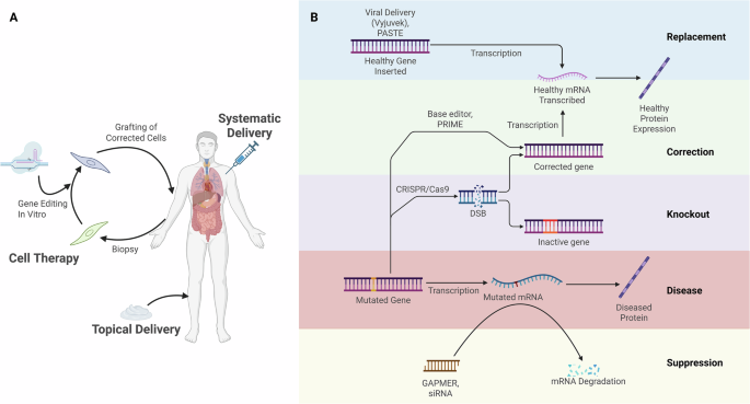 How far have we come? From understanding collagen disorders to ...