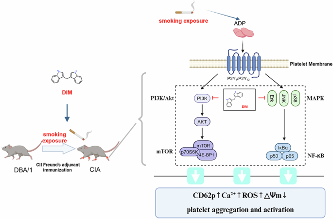 Abnormal activation of platelets and inflammation in smoking-induced ...