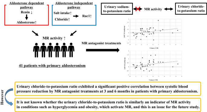 Urinary chloride-to-potassium ratio as a potential novel index for MR ...