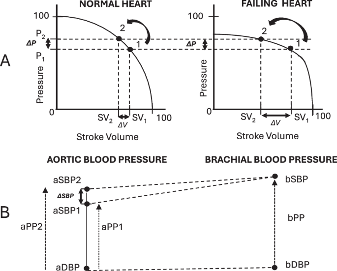 Home blood pressure monitoring for improved risk assessment in heart ...