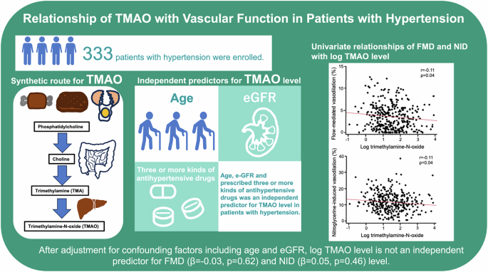 Relationship of TMAO levels with vascular function in patients with ...