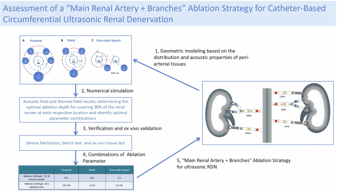Assessment of a “main renal artery + branches” ablation strategy for catheter-based ...