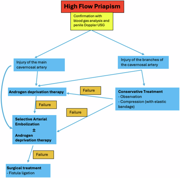 The role of the urologist in managing high flow priapism ...
