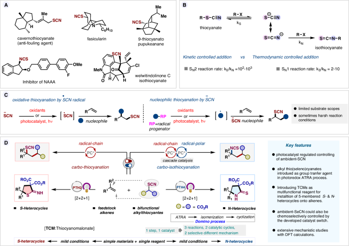Photocascade chemoselective controlling of ambident thio(seleno ...